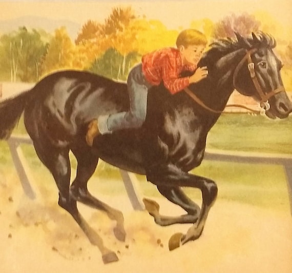 1957 Fury the Horse Matted Vintage 8x10 Print | Etsy