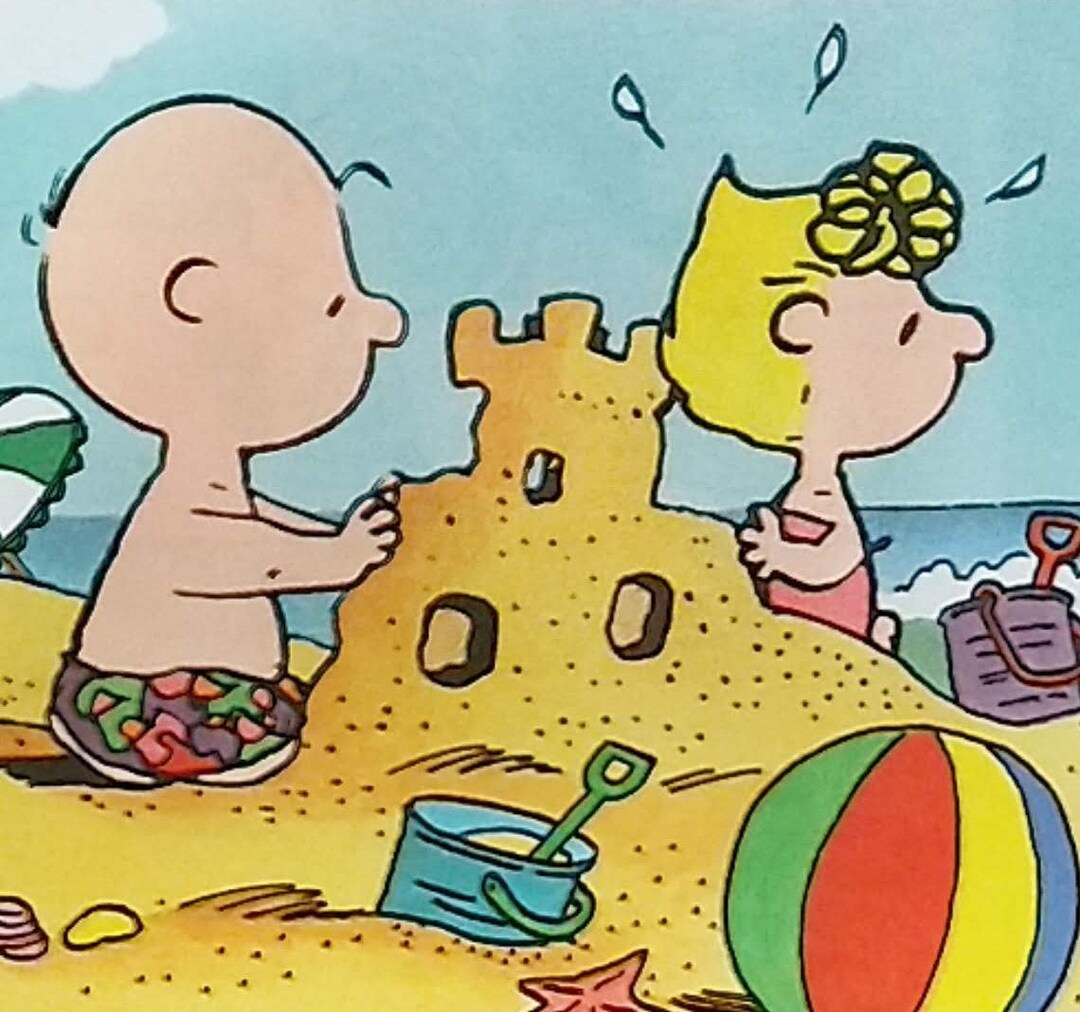 1987 Charlie Brown at the Beach Matted Vintage Peanuts 8x10 Print - Etsy