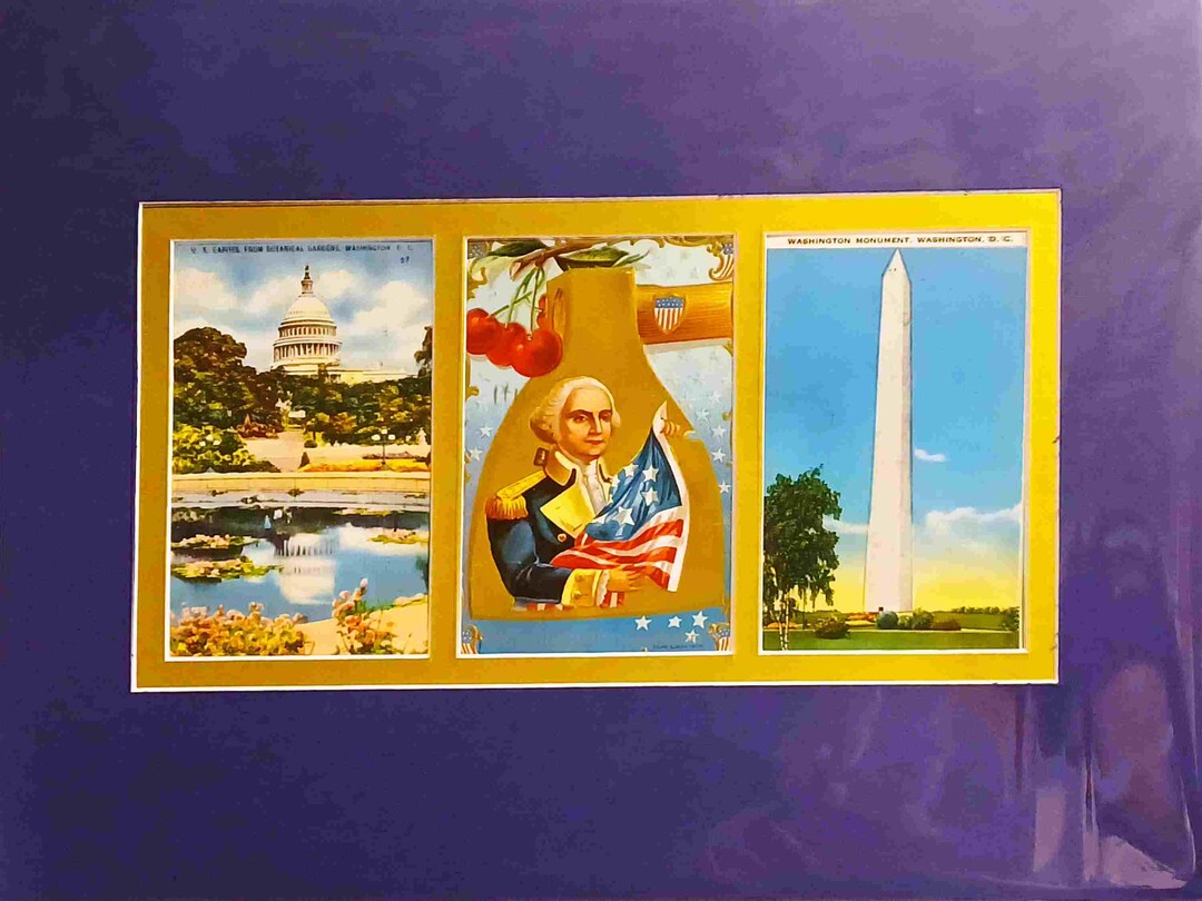 George Washington & DC Antique Postcards Matted 11x14 Frame-ready - Etsy