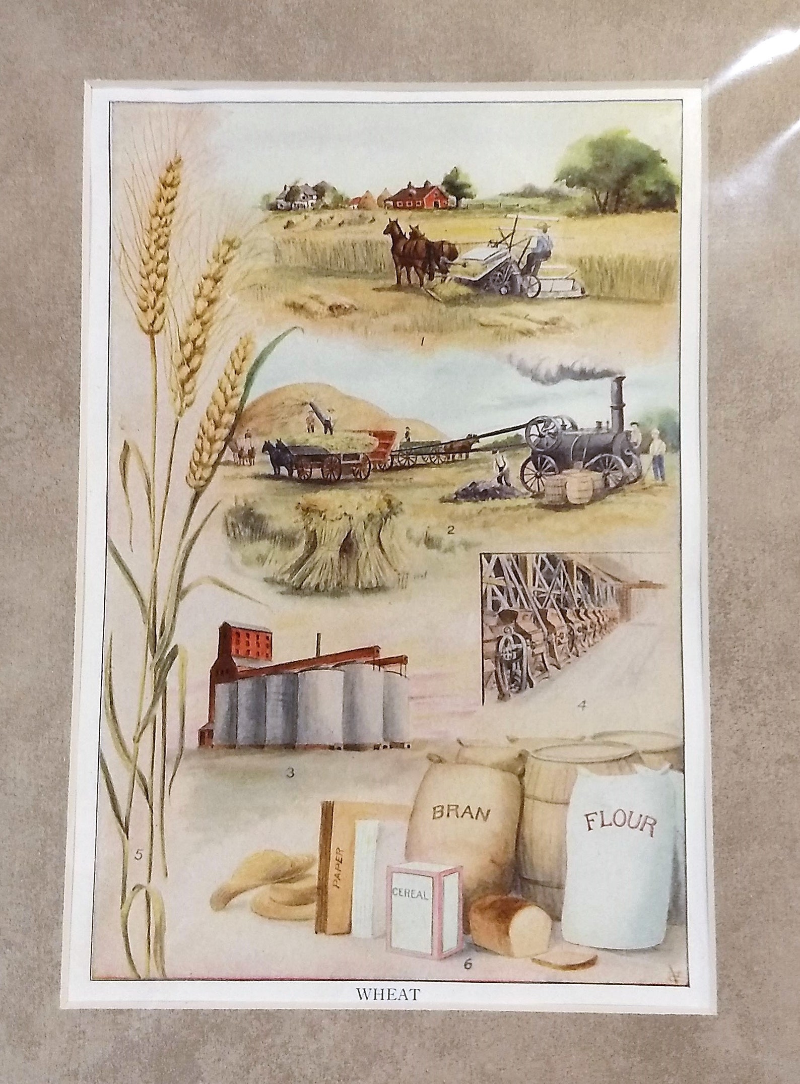 1931 Wheat Farming Print Matted Vintage 8x10 Print | Etsy