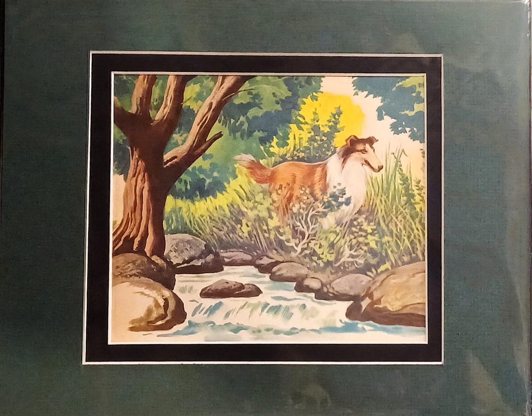 1956 Lassie Matted Vintage 8x10 Print - Etsy
