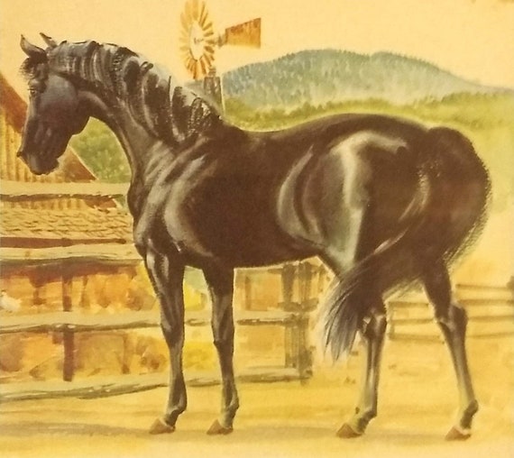 1957 Fury the Horse Matted Vintage 8x10 Print | Etsy