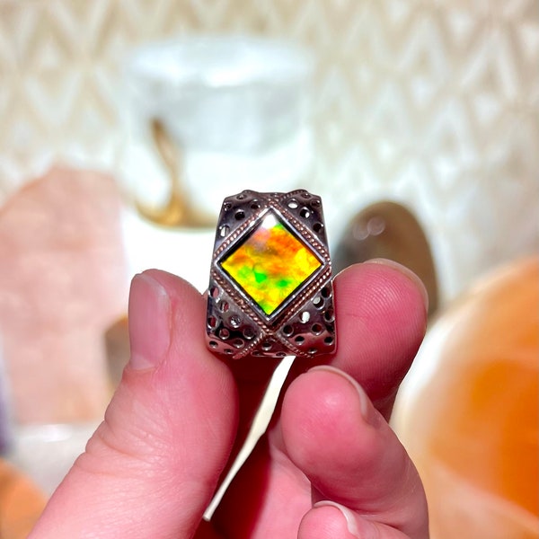 Ammolite - Etsy