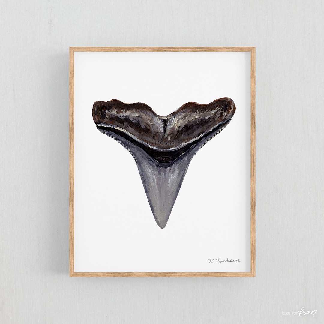 Hammerhead Shark Tooth Art Print, Sharktooth Wall Art, Hammer Head ...