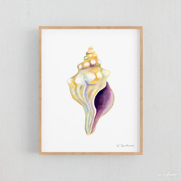 Shell Art Print - Etsy