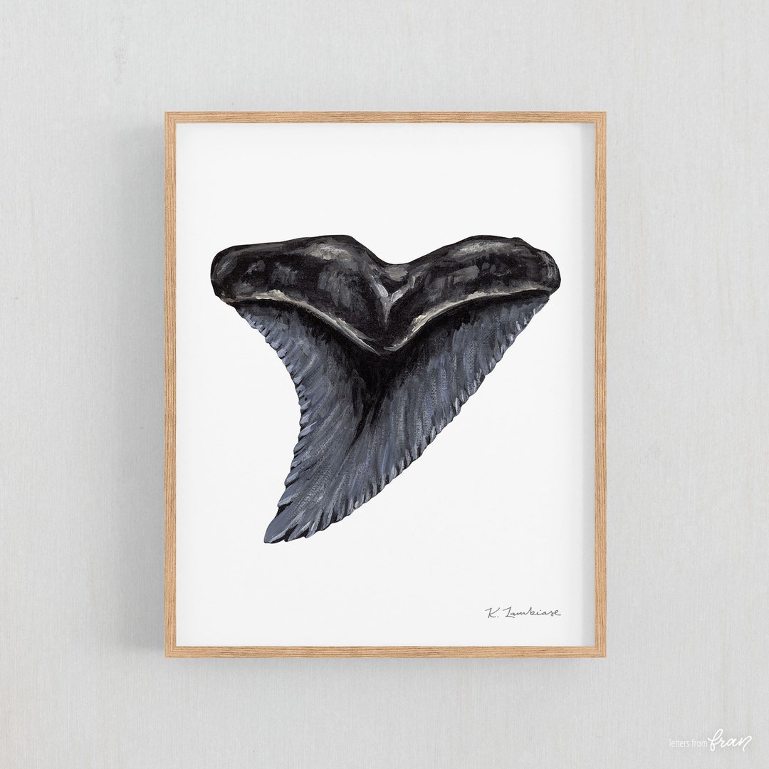 Snaggletooth Shark Tooth Shark Tooth Art Print, Snaggle Tooth Shark ...
