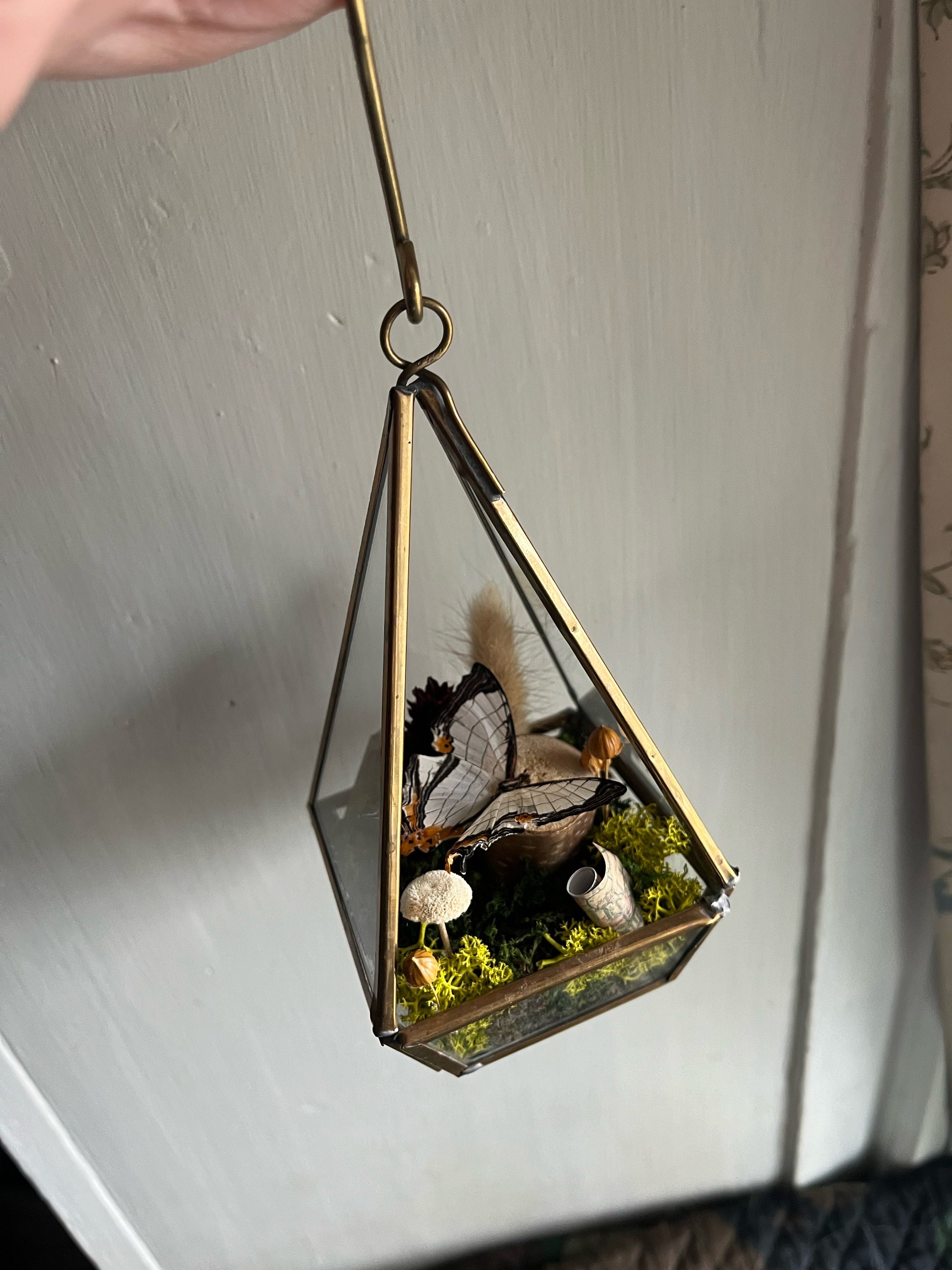 REAL Map Butterfly Terrarium - Etsy