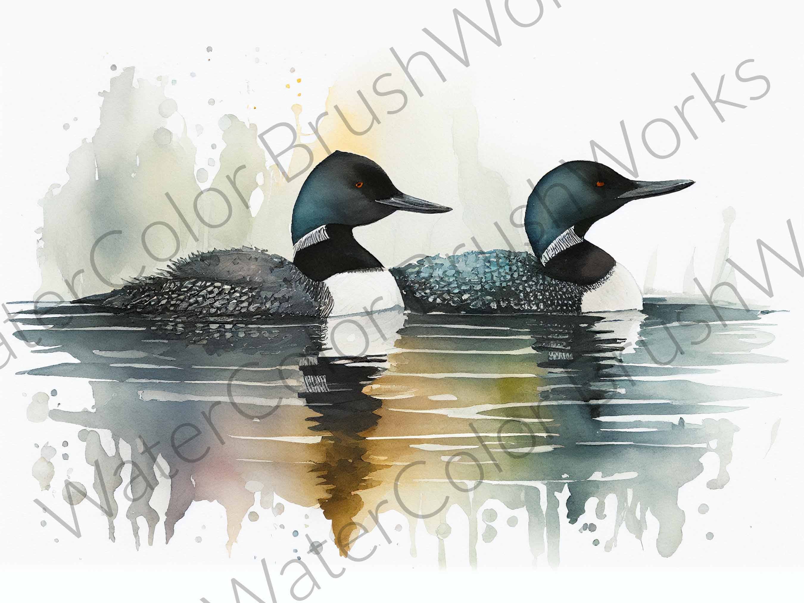 Watercolor Loon Painting Printable Art Wall Poster Watercolour Art ...