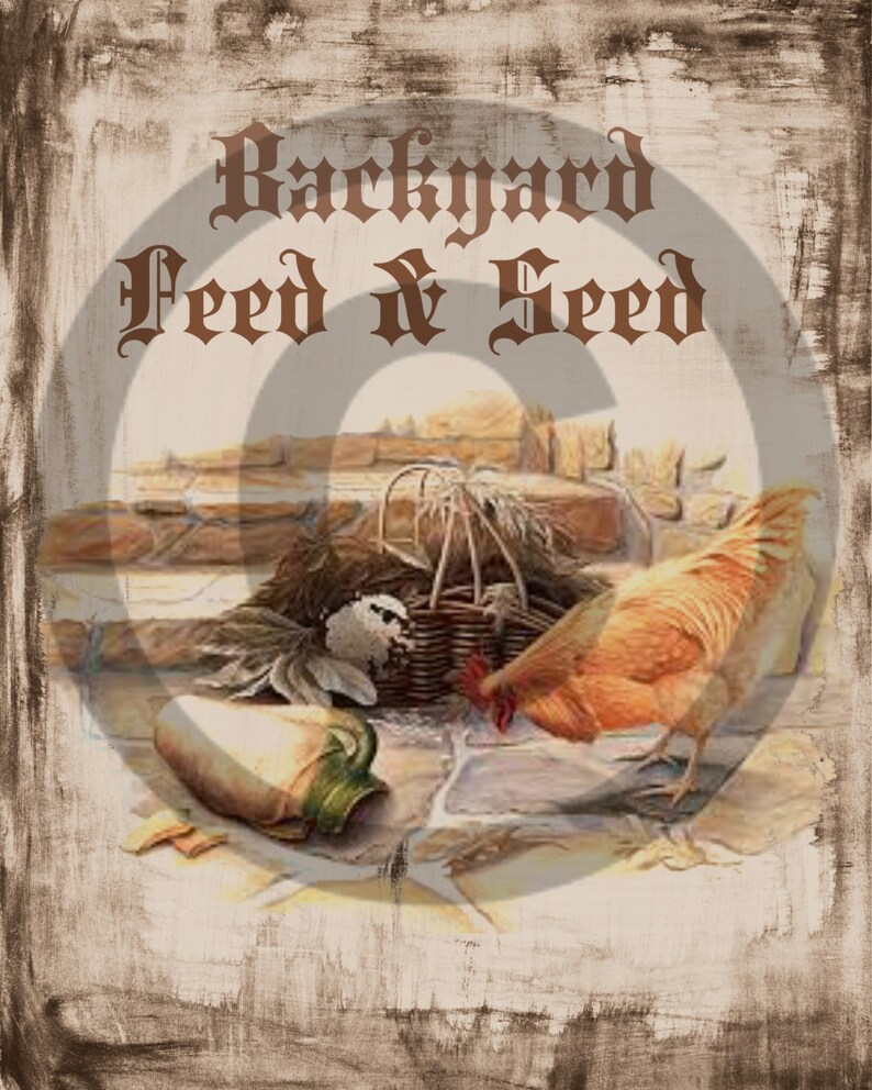 Primitive Digital Art- Backyard Feed and Seed - Jar Logo- Pantry Label ...