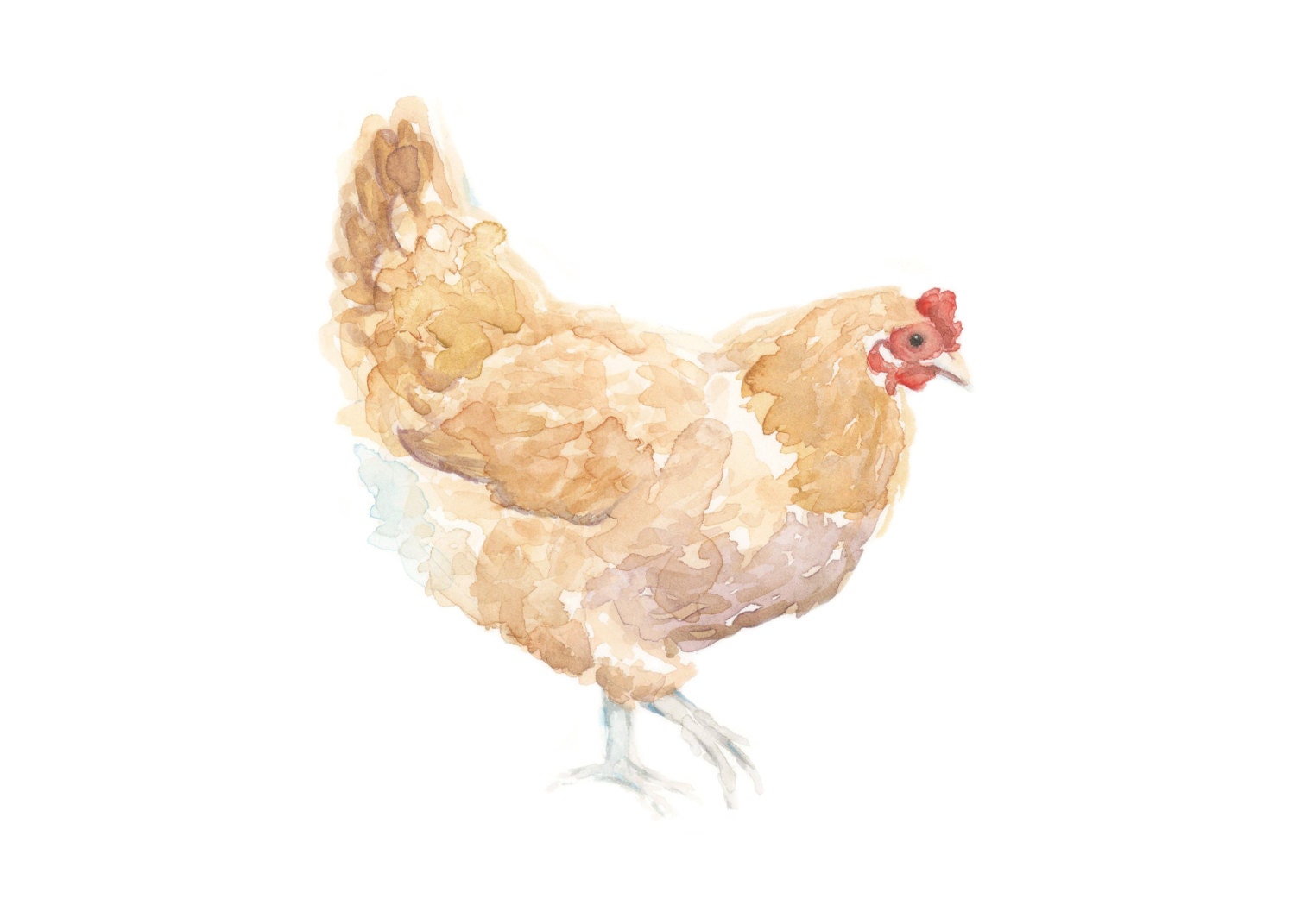 Yellow Chicken Art Print- Watercolor - Farm Animal - Chicken - Hen ...