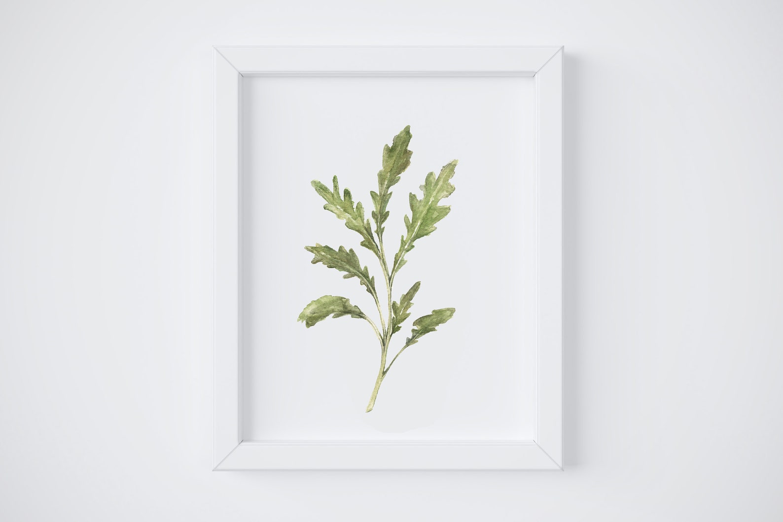 Arugula Art Print - Arugula Painting - Herb Painting - Watercolor ...