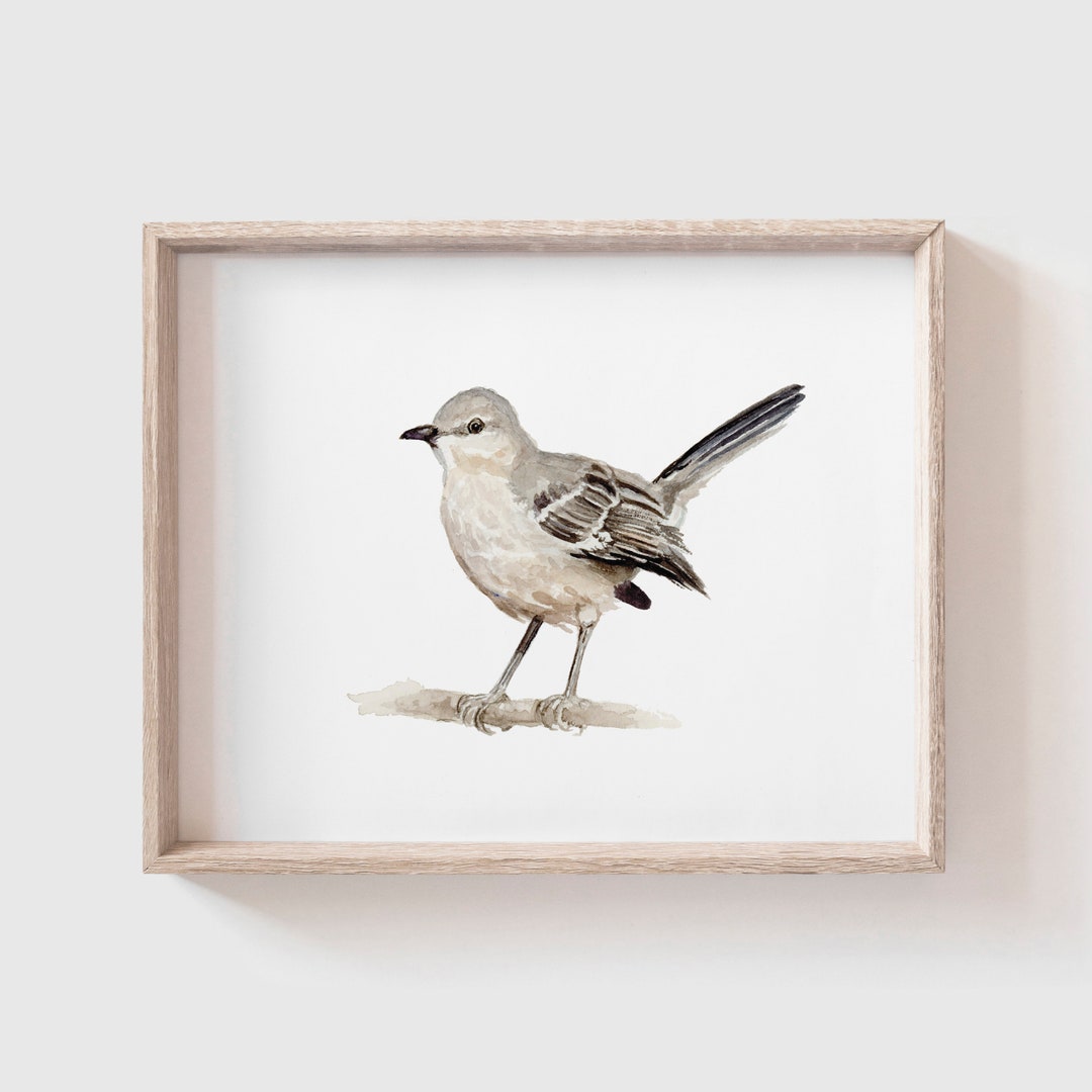 Mockingbird Art Print - Northern Mocking Bird - Bird Painting ...