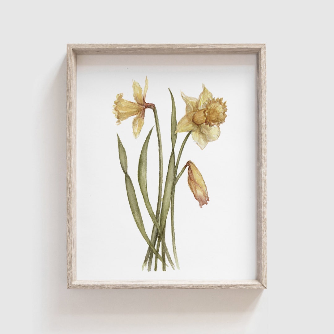 Daffodil Flower Art Print - Flowers - Florals - Mother's Day Gift ...