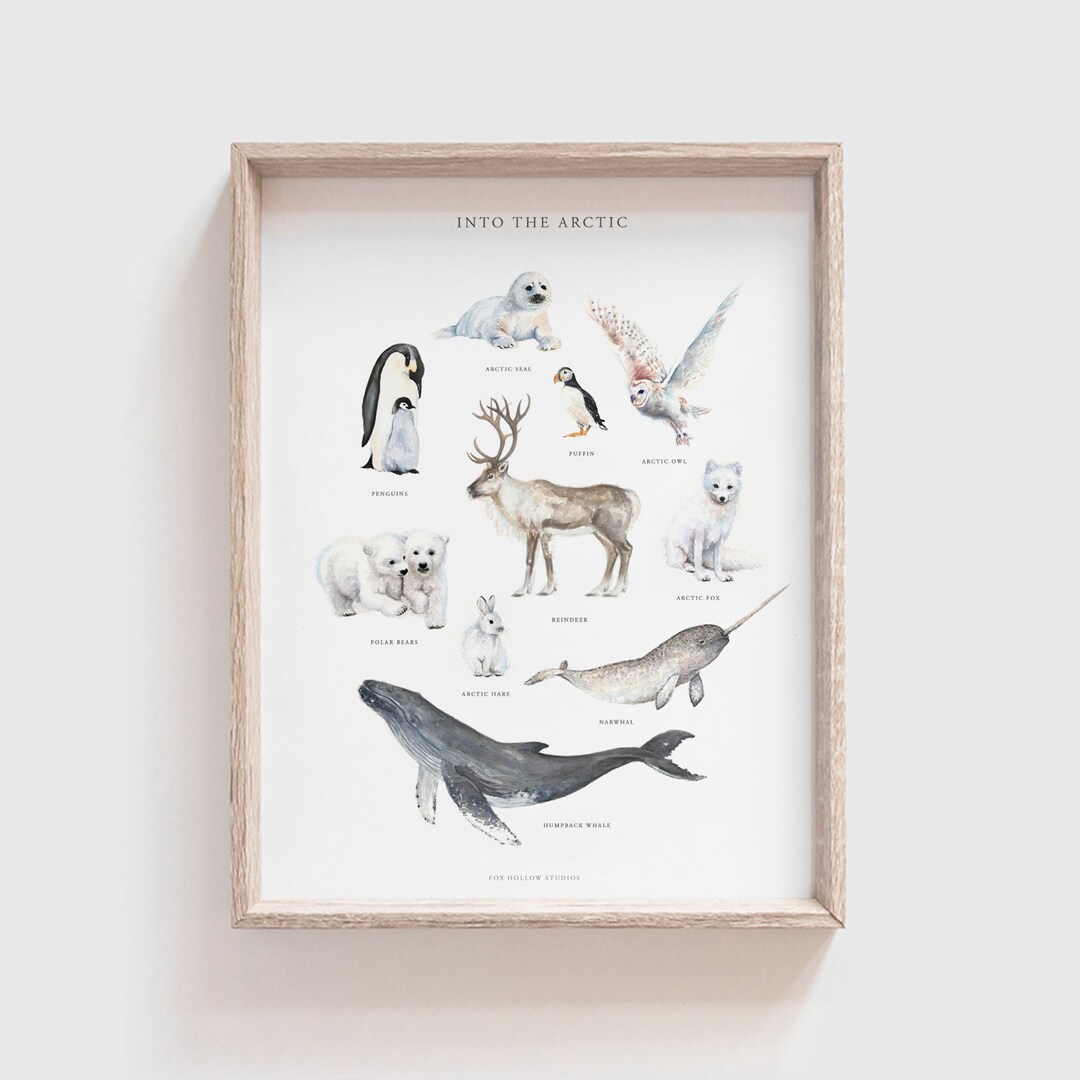 Into the Arctic Animal Poster - Animal Poster - Baby Room - Baby Girl ...