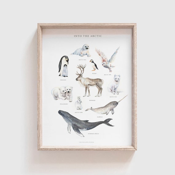 Into the Arctic Animal Poster Animal Poster Baby Room | Etsy