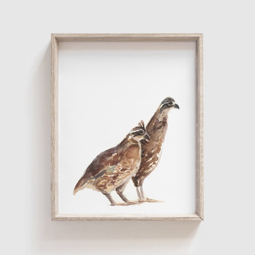 Quail Art Print - Quail Pair - Bobwhite - Bird Painting - Watercolor ...