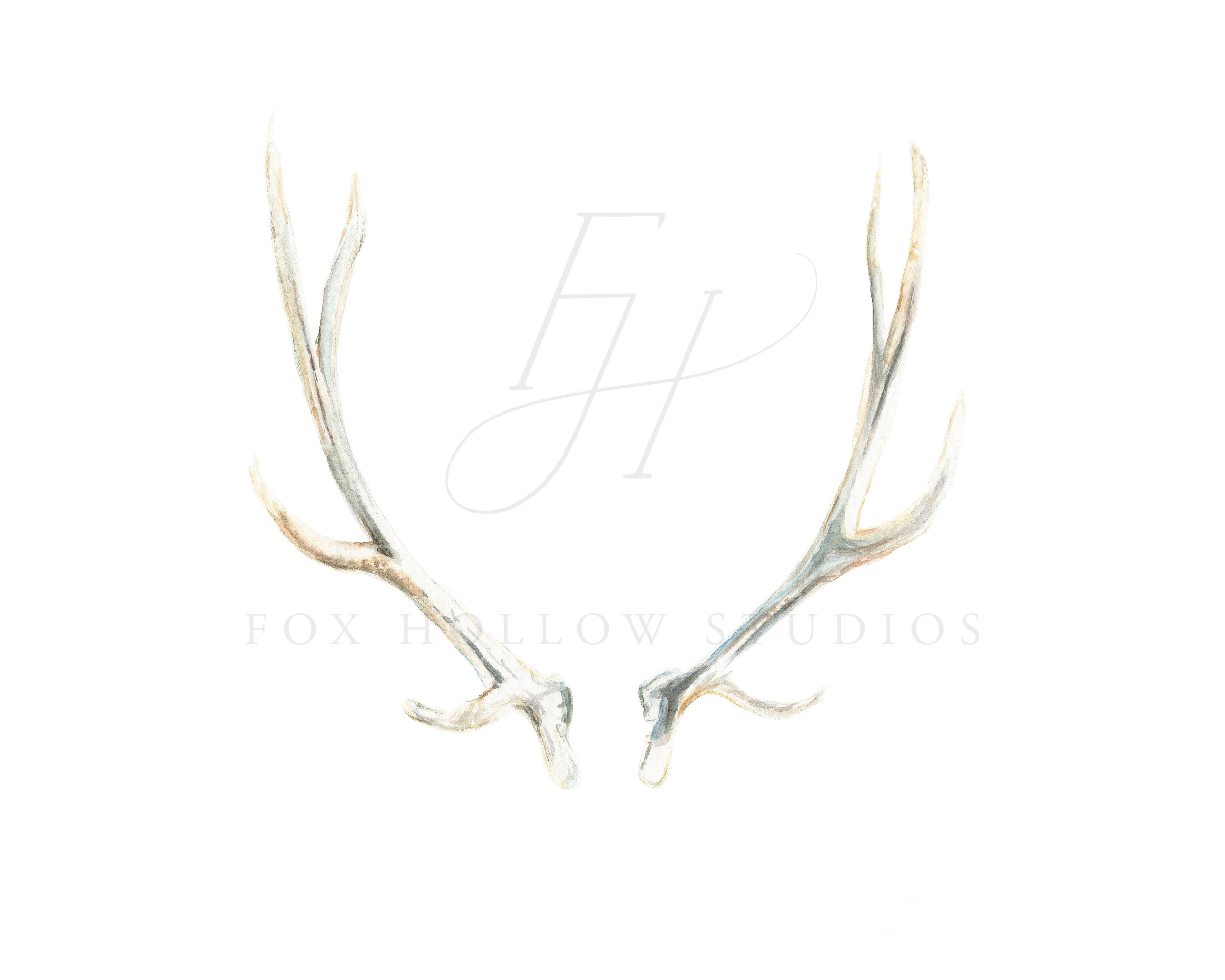 Antlers No 2 Art Print - Antler Painting - Antler Watercolor Painting ...