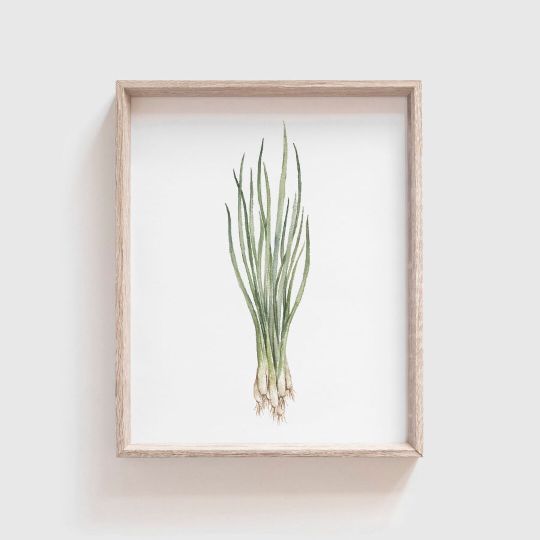 Green Onion Art Print - Onion Painting - Vegetable - Onion Watercolor ...