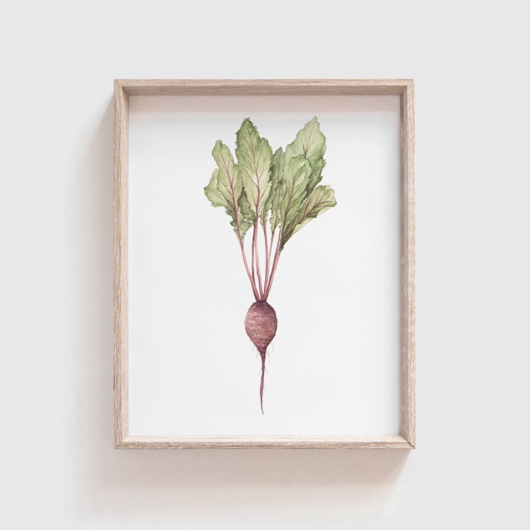 Beet Art Print - Beet Painting - Vegetable Painting - Red Beet ...