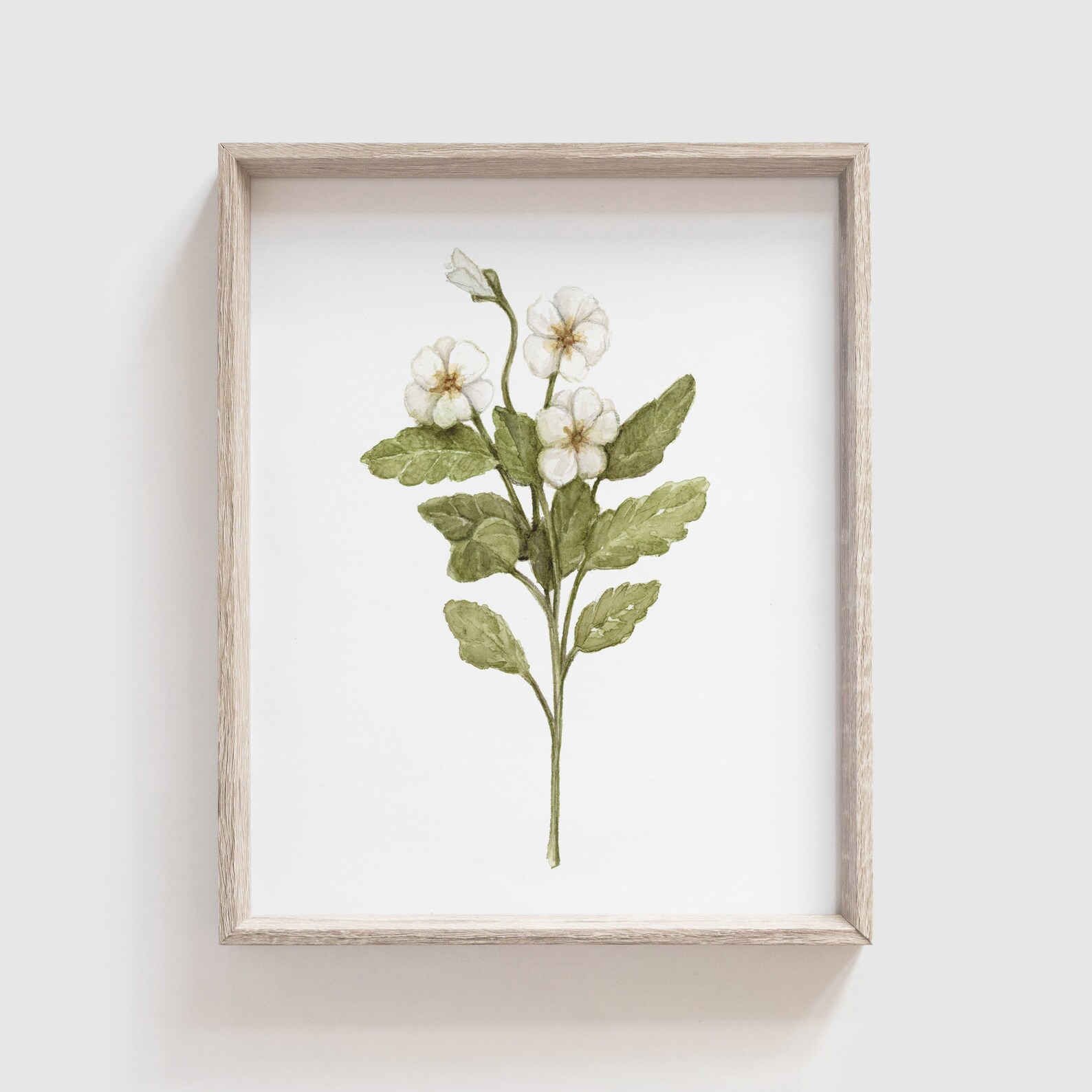 Primrose Art Print (digital Download) - Flowers - Florals - Mother's ...