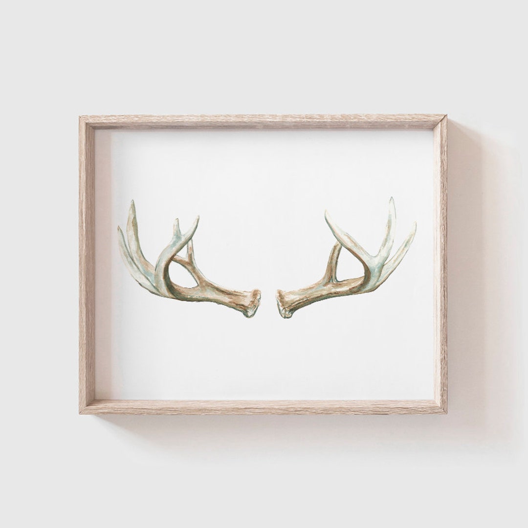 Antlers No 1 Art Print - Antler Painting - Antler Watercolor Painting ...
