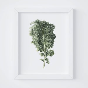 Kale Art Print - Kale Painting - Vegetable Painting - Green Kale ...