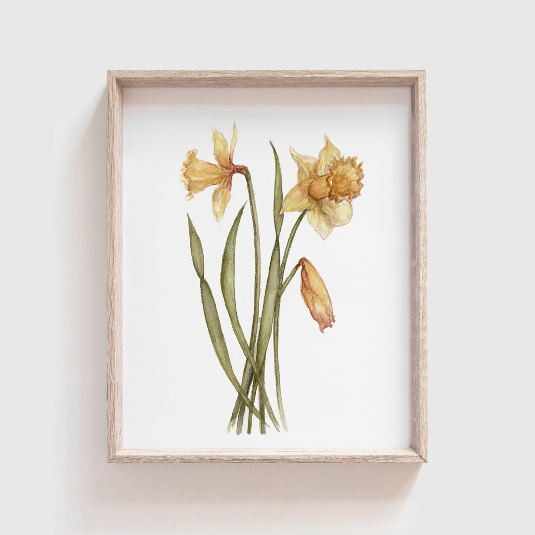 Daffodil Art Print (digital Download) - Flowers - Florals - Mother's ...