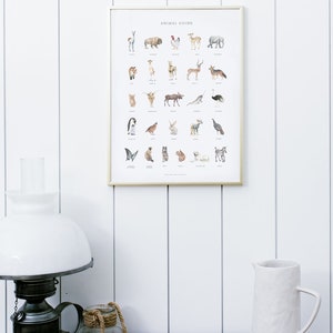 Animal Guide Poster - Animal Alphabet Poster - Alphabet - Baby Girl ...