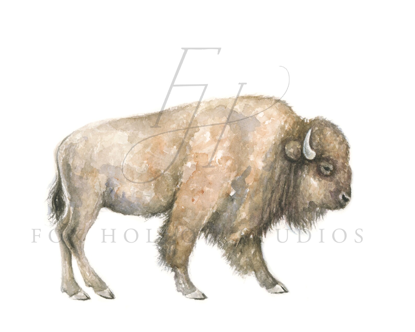 Buffalo Art Print- Buffalo Painting - Southwestern Painting - Buffalo ...