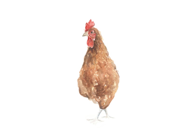 Red Chicken Art Print- Farm Animal Painting - Chicken - Hen Painting ...