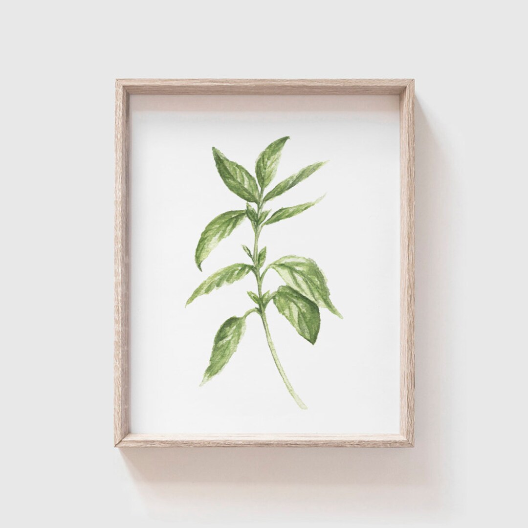 Basil Art Print - Basil Painting - Herb Painting - Basil Watercolor ...