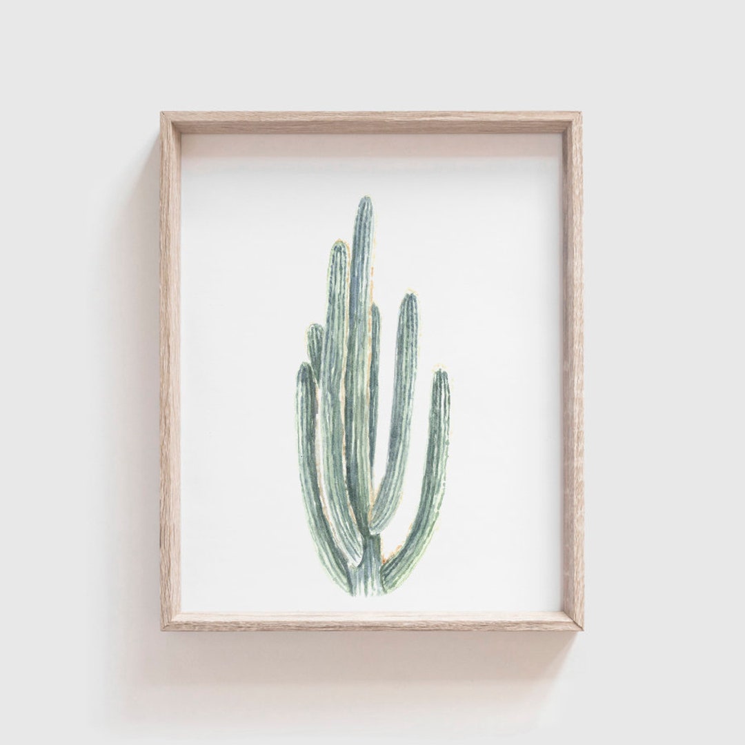 Smooth Cactus No 2 Art Print - San Pedro Cactus - Cactus Painting ...