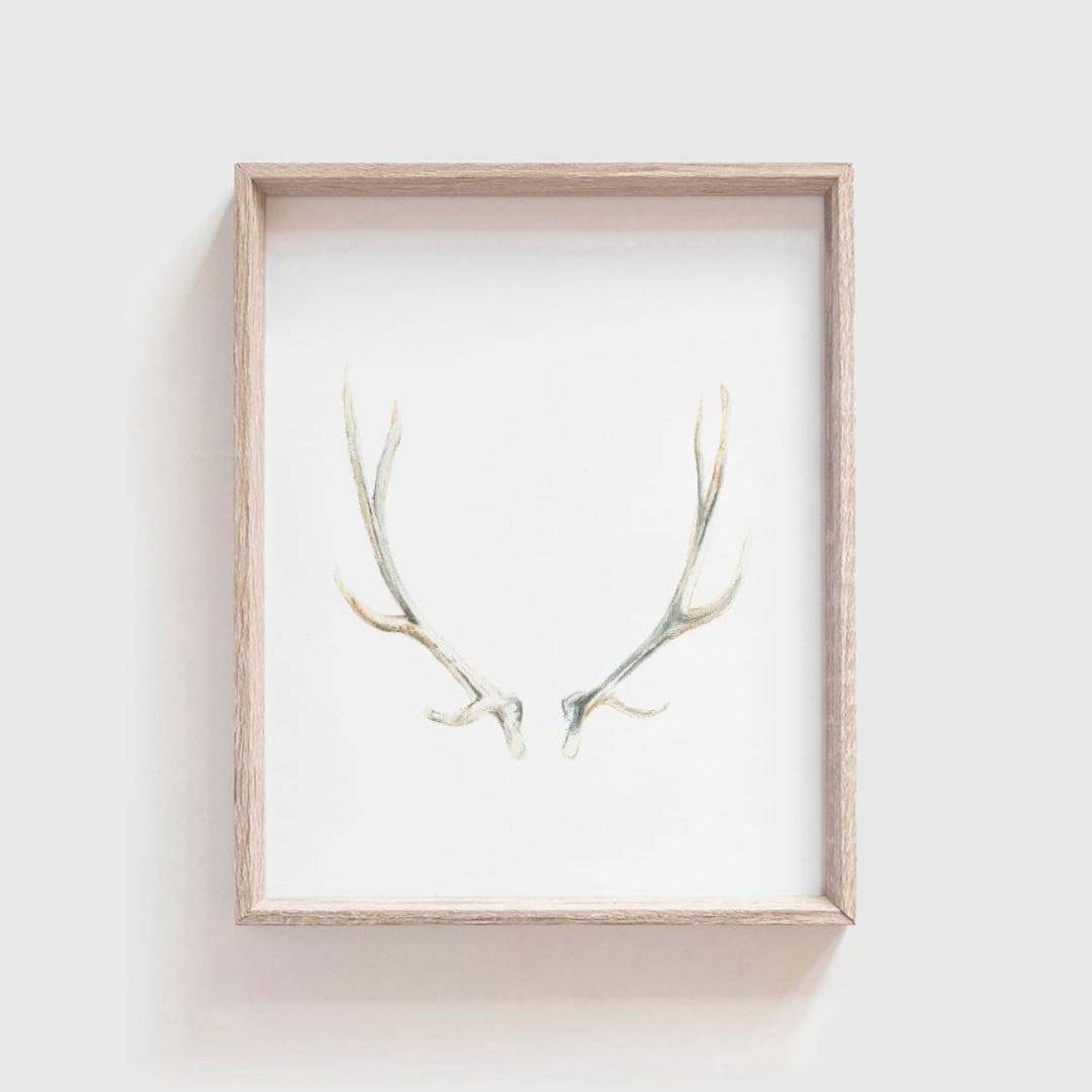 Antlers No 2 Art Print - Antler Painting - Antler Watercolor Painting ...