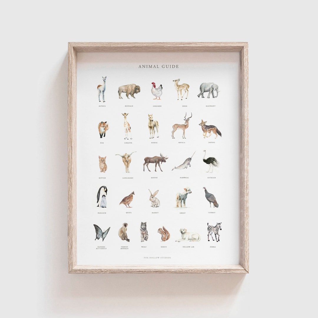 Animal Guide Poster - Animal Alphabet Poster - Alphabet - Baby Girl ...