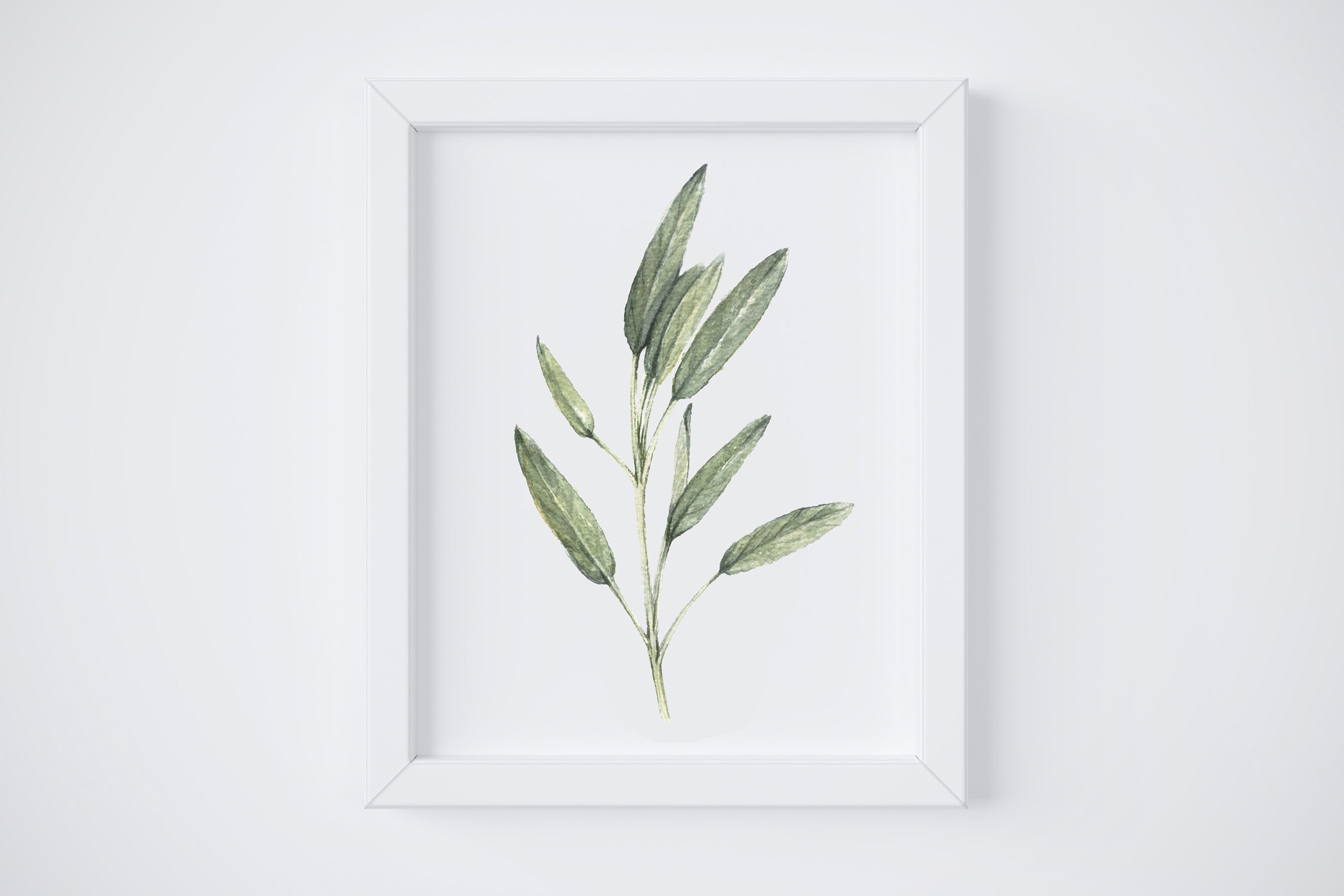 Sage Art Print - Sage Painting - Herb Painting - Farmhouse - Watercolor ...