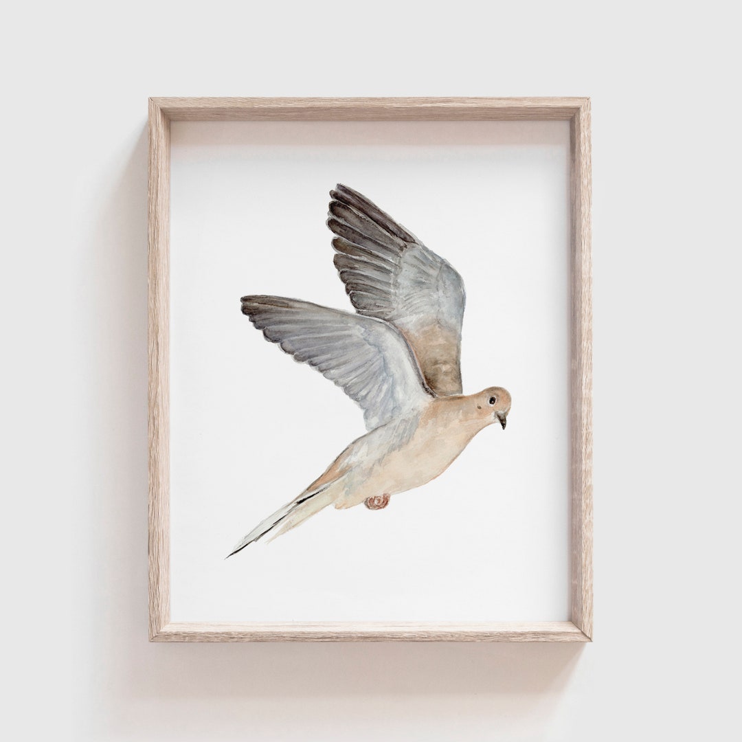 Mourning Dove Art Print - Morning - North American - Bird Painting ...