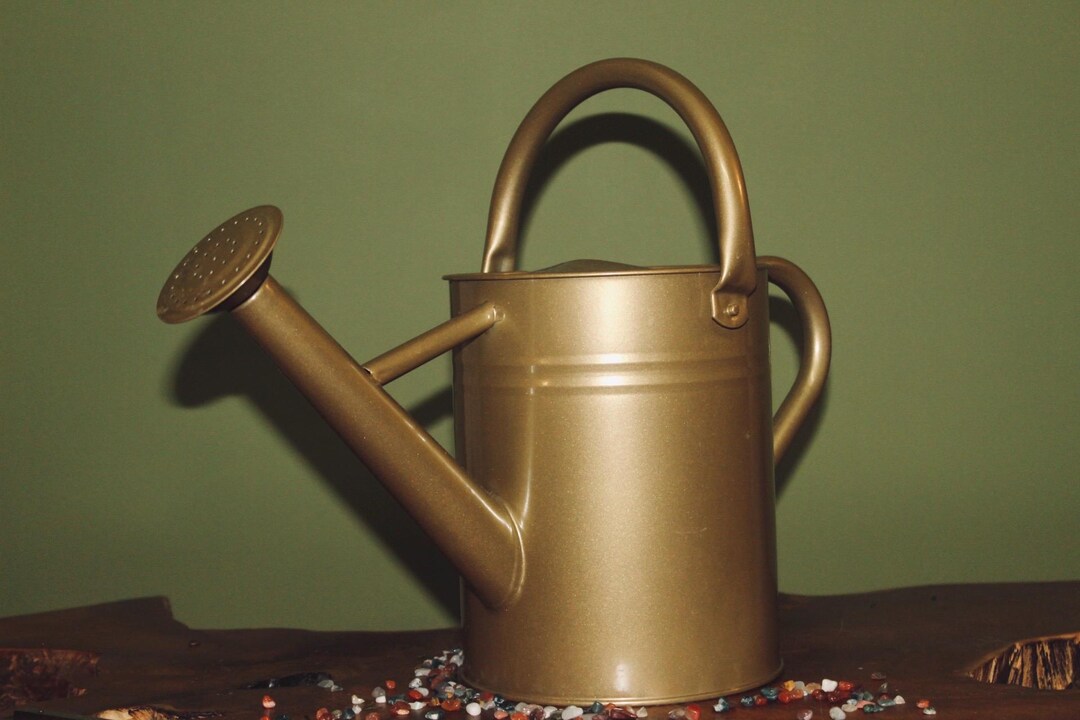 Golden Flow Watering Can - Etsy
