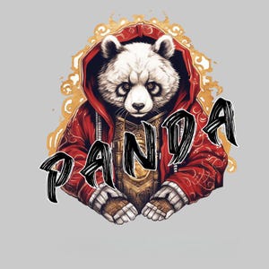 1 Pcs 19x24cm Kung Fu Panda Heat Transfer Patch for Clothes Bags T ...