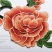 Lace Appliques,embroidered Lotus Flower,4 Colors Patches for Wedding ...