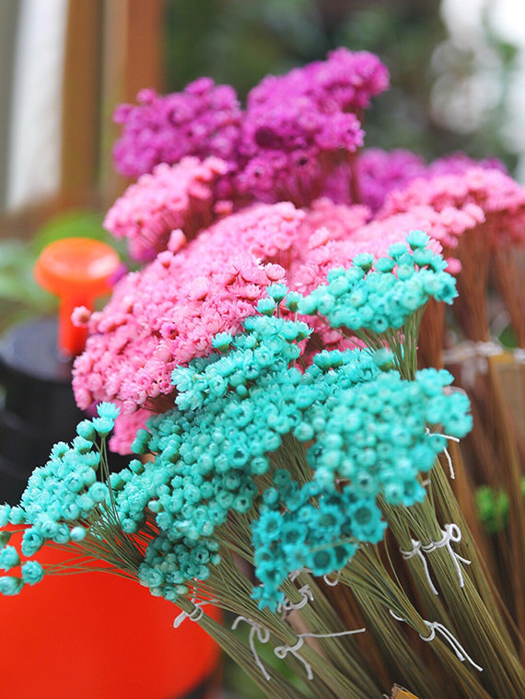 45 Pcs Mini Star Daisy,4 Colors,real Natural Dried Flowers for Filler ...