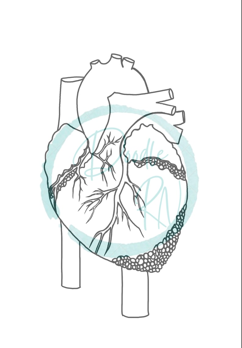 CVICU Heart Coloring Sheet;icu Nurse Coloring Sheet;nurse Coloring ...