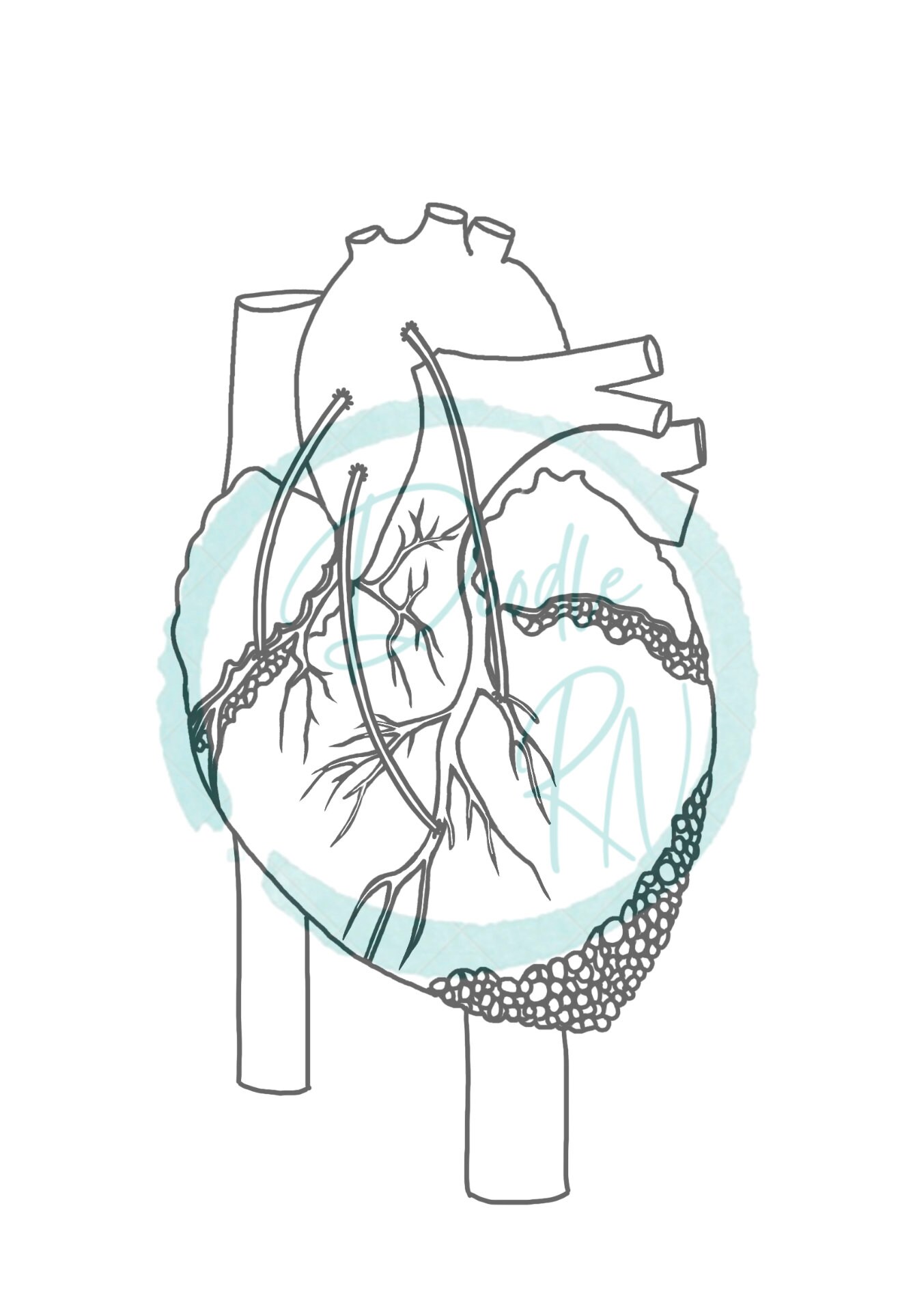 CABG Coloring Sheet;icu Nurse Coloring Sheet;nurse Coloring Sheet;new ...
