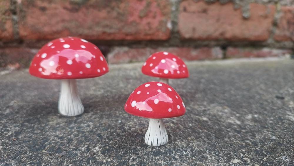 Ceramic Toadstools - Handmade Mushrooms - Unique Gift - Etsy