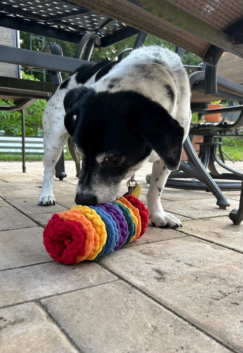 Tuti Fruity Snuffle Log Dog Toy: Interactive Treat Dispenser - Etsy