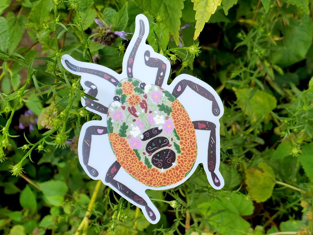 Birth Bug October / Monthly Birth Flower Insect / Marigold / Cosmos ...