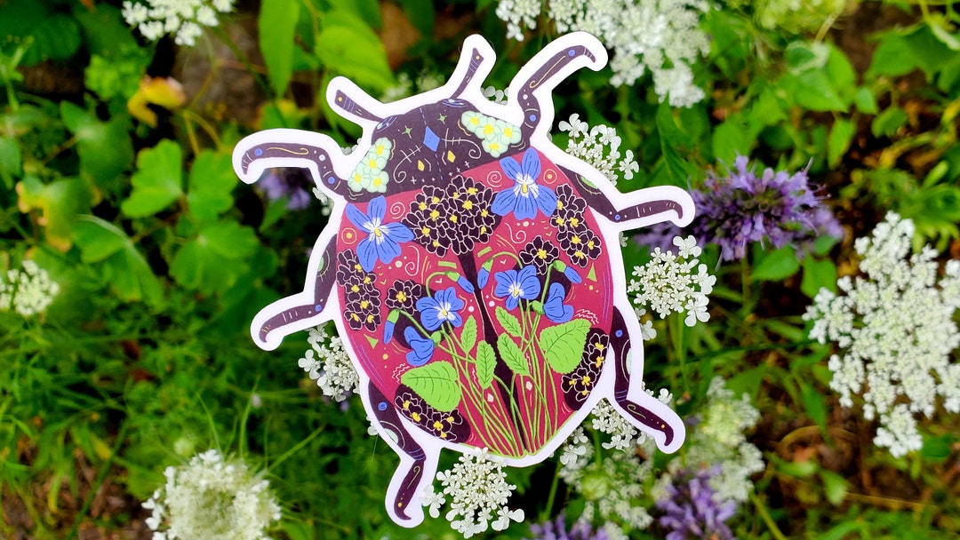 Birth Bug February / Monthly Birth Flower Insect / Violets / Primrose ...