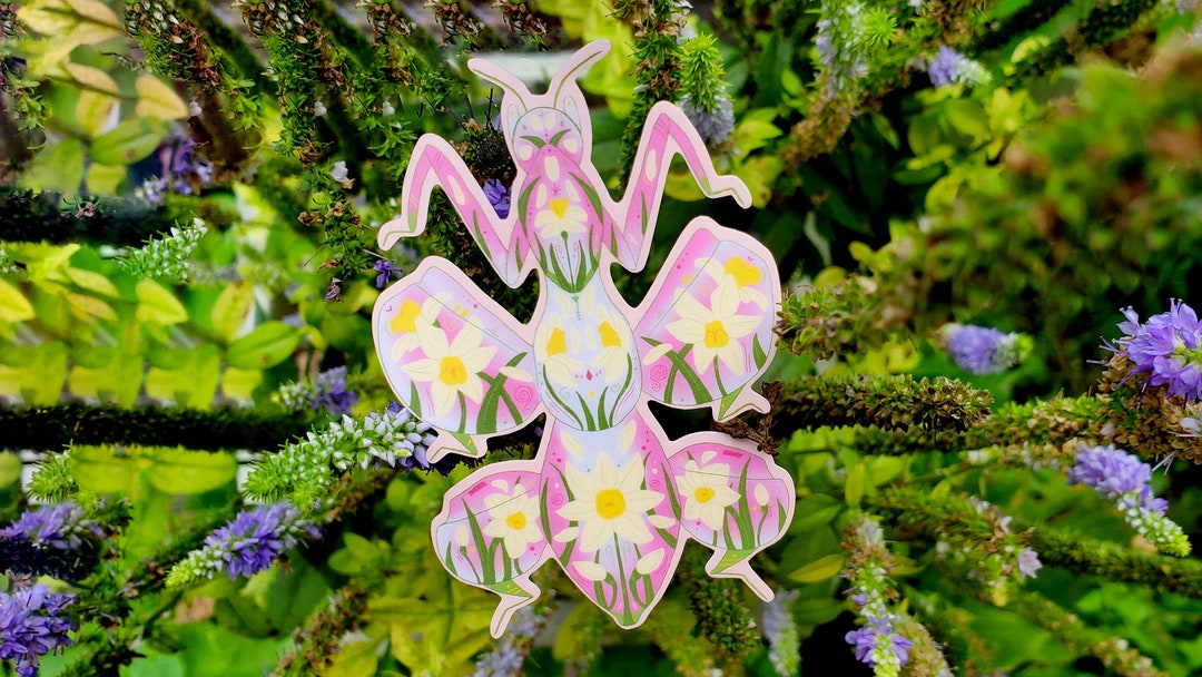 Birth Bug March / Monthly Birth Flower Insect / Daffodils / Orchid ...