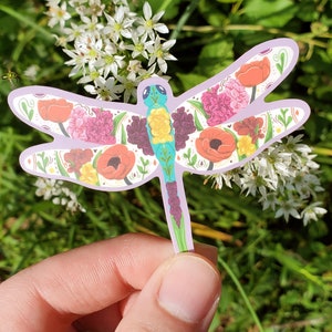 Birth Bug August / Monthly Birth Flower Insect / Gladiolus / Poppy ...