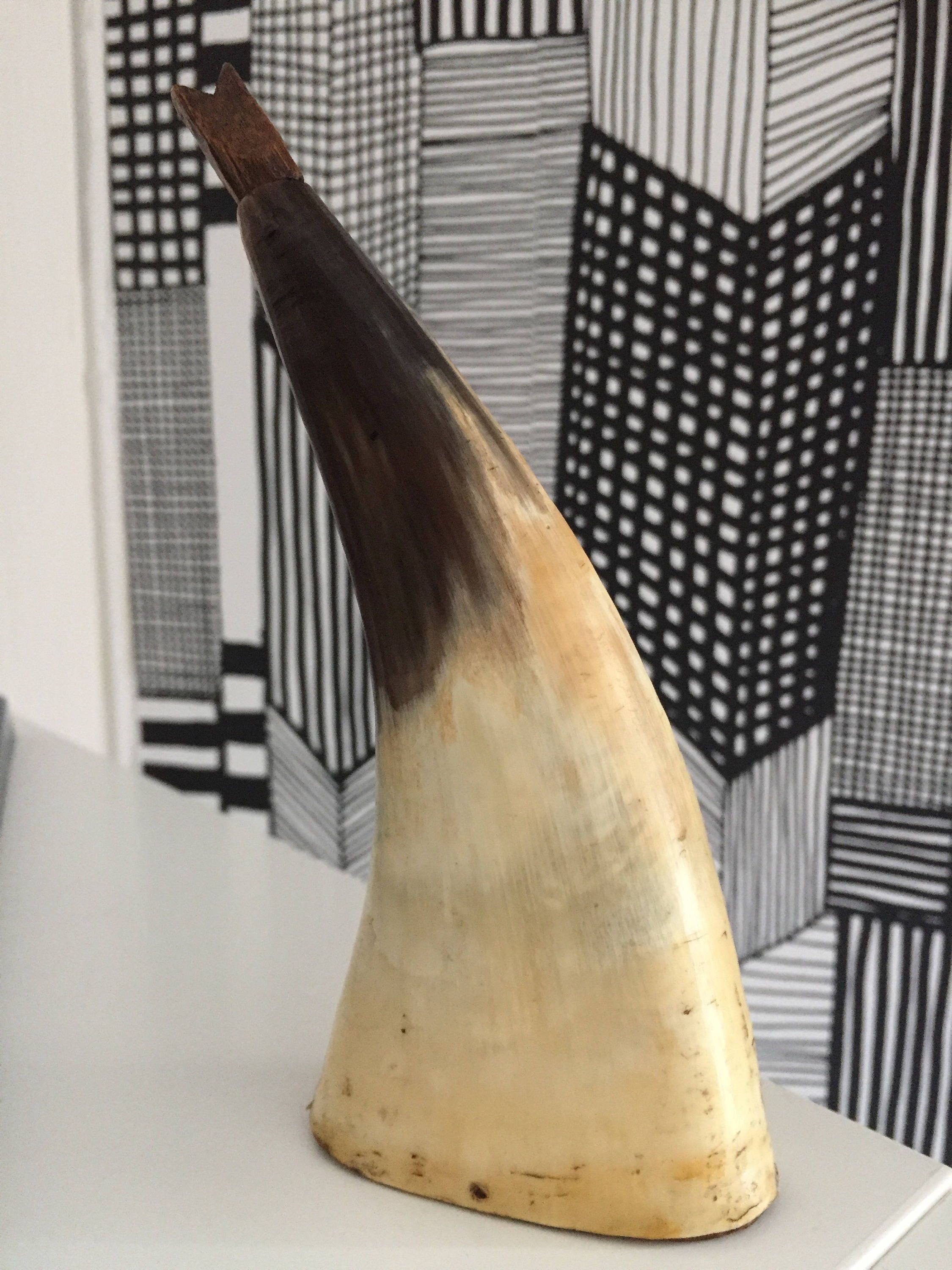 Antique Swedish gunpowder horn powderhorn nordic hand-carved antler ...