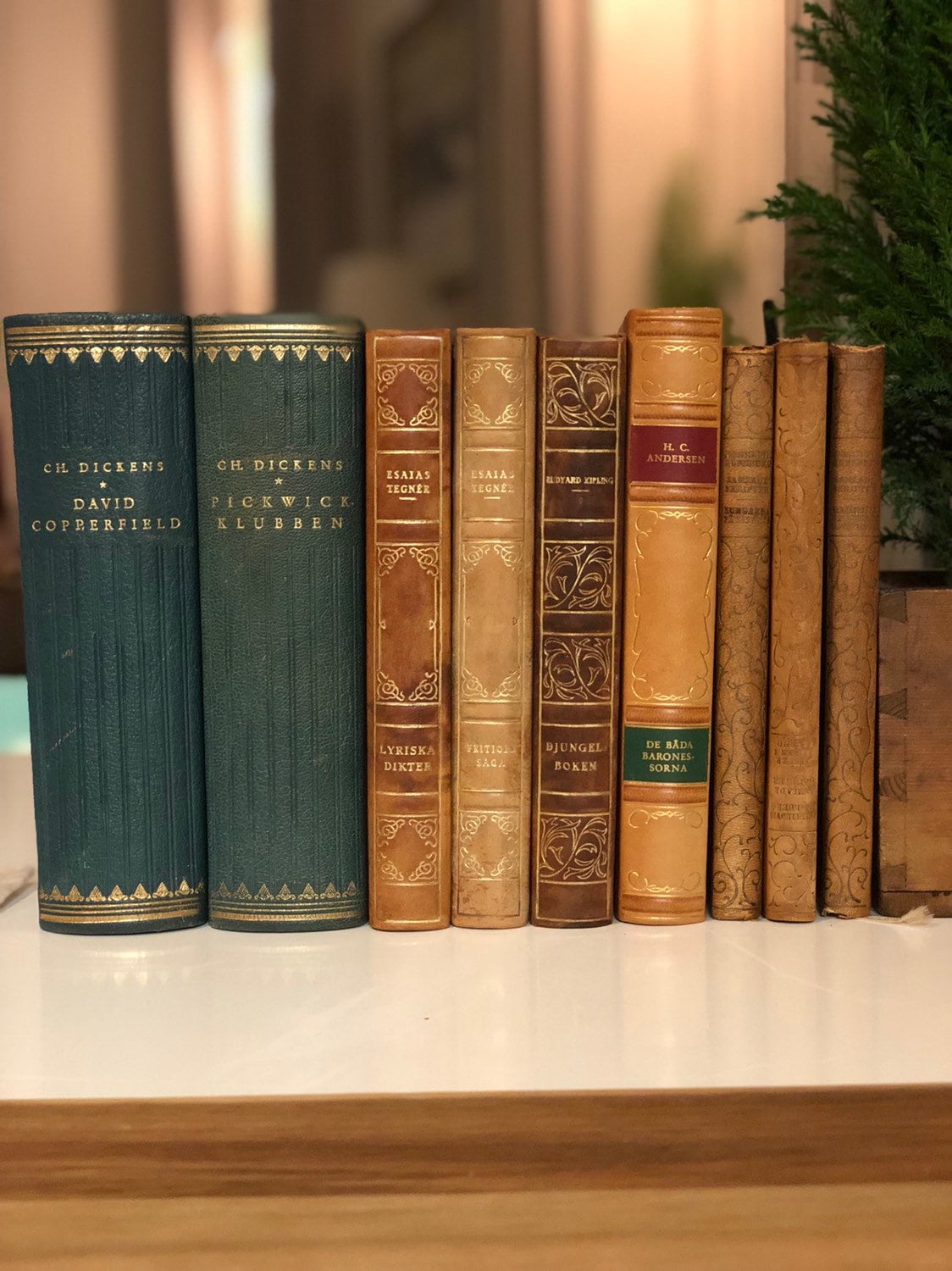 Lot of Vintage Swedish books, leather bound, book grouping / shelf ...